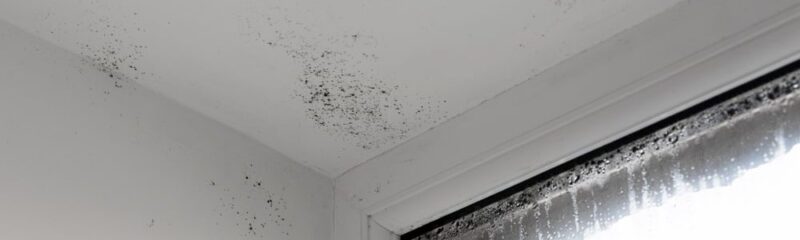 Las Mejores Soluciones a las Humedades por Condensación de tu Hogar ...